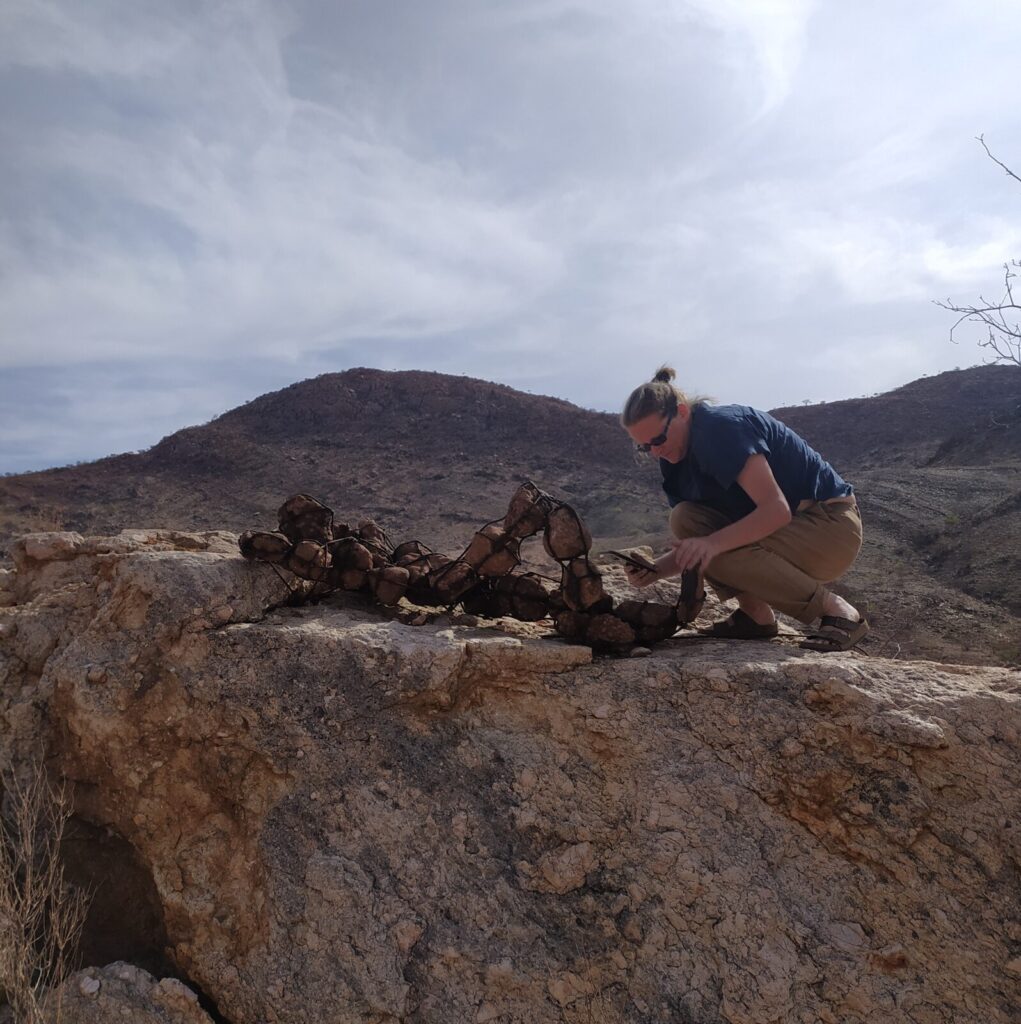 Where we're going we don't need roads……. - Overlandbirds - Overlanding ...