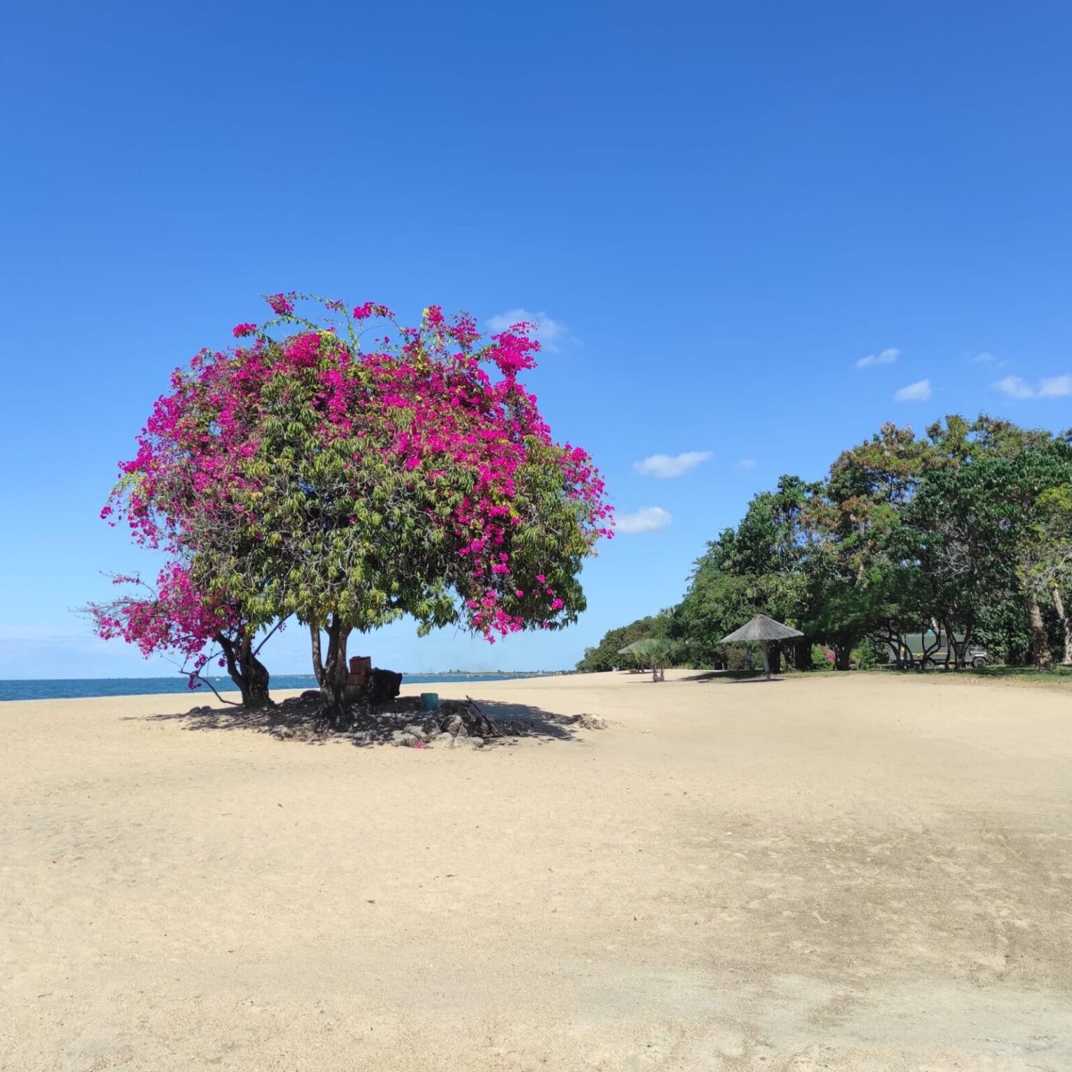 Ngala Beach Lodge - Overlandbirds - Overlanding in a Land Rover Defender
