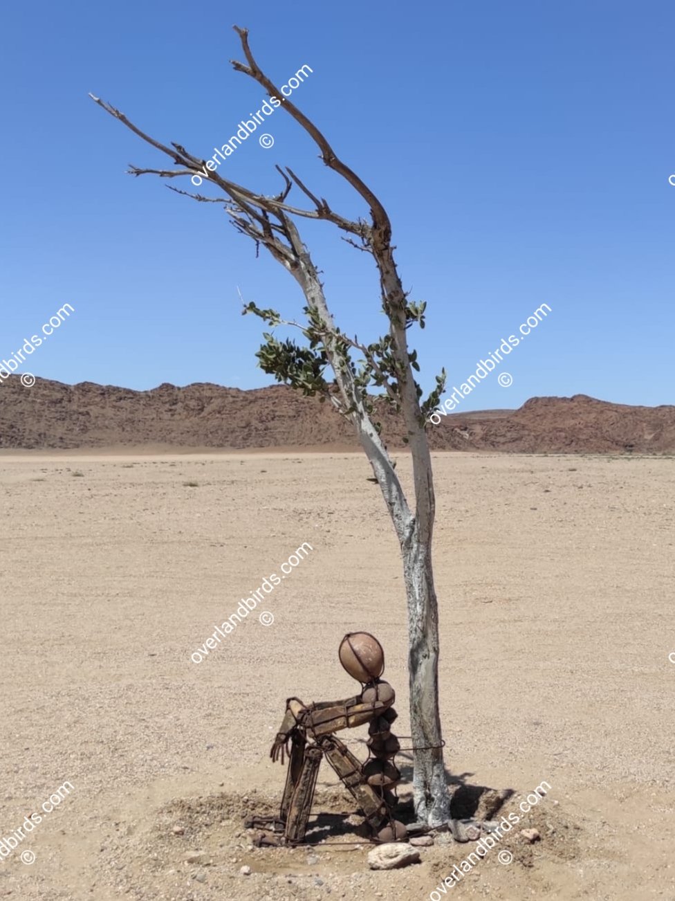 Lone Men of Namibia - Overlandbirds - Overlanding in a Land Rover Defender